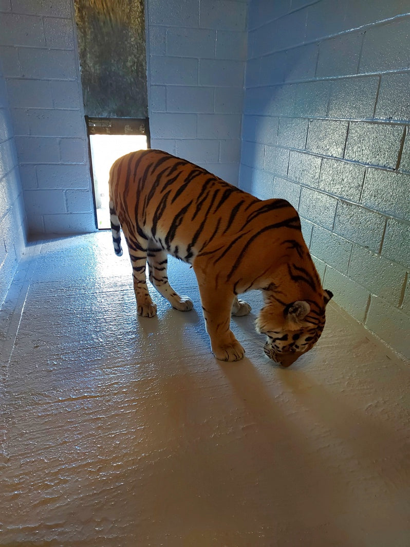 Epoxy Paints, Coatings & Building Chemicals | Antel Ltd Portsmouth UK