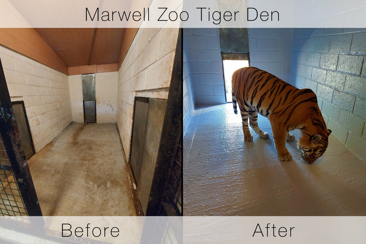 Epoxy Paints, Coatings & Building Chemicals - Antel